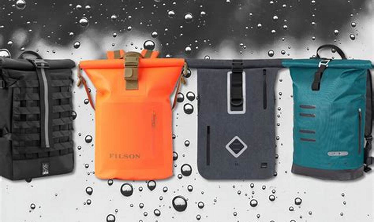 Top-Rated: Best Roll Top Backpack [Guide & Reviews]