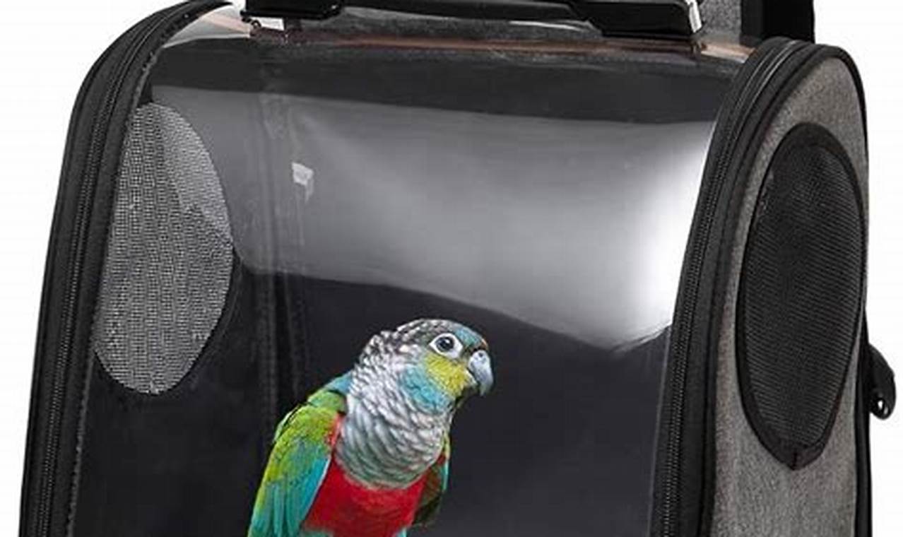 Best Bird Backpack Carrier: Travel Safely & Comfort!