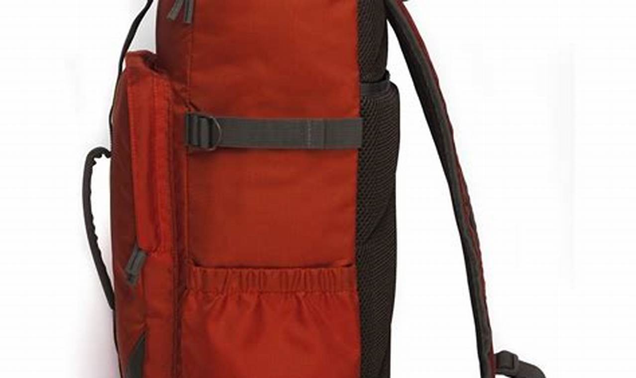 Best Orange Laptop Backpacks: Style & Protection!
